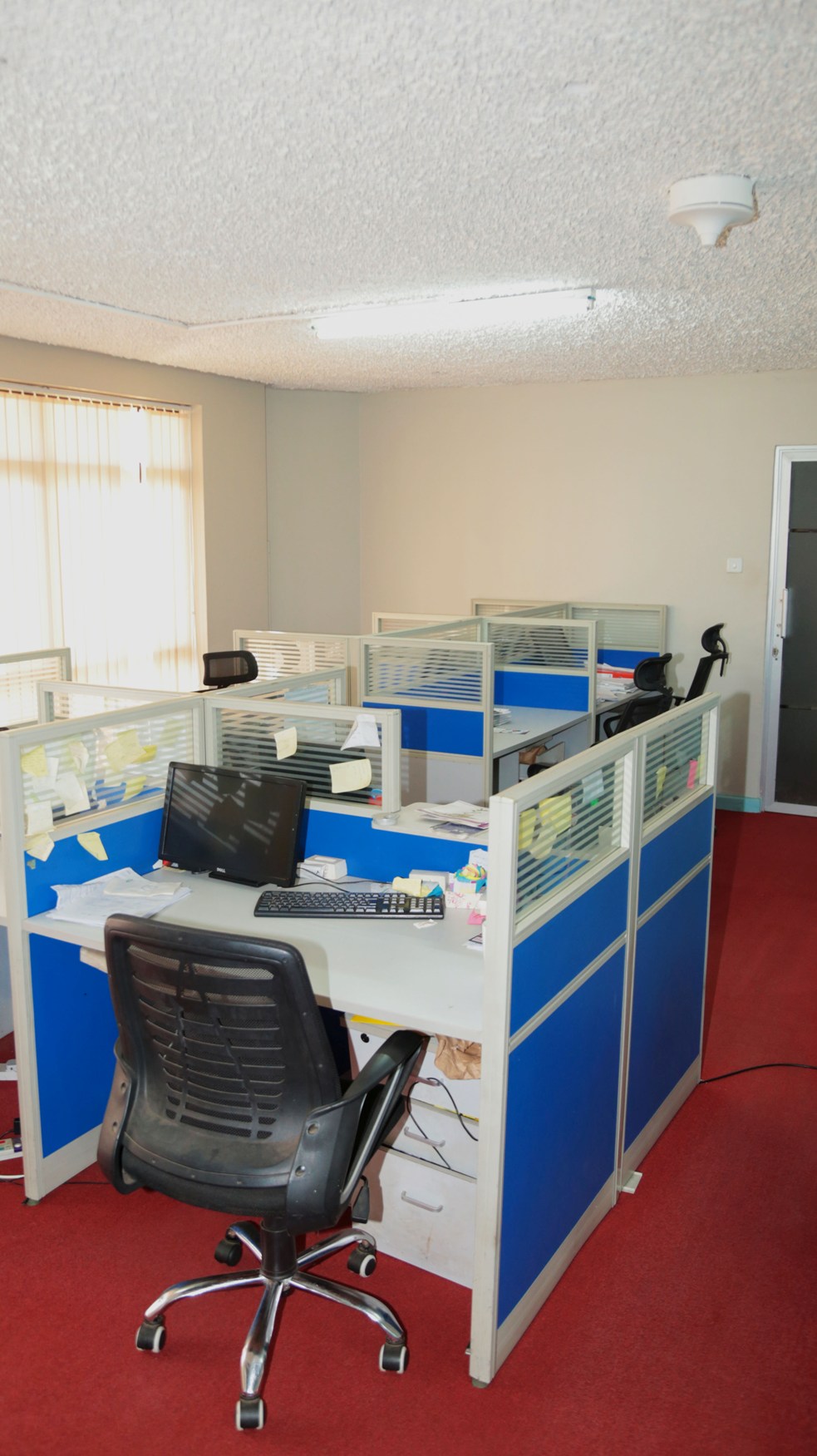 Bellamy Services Limited - Real Estate • Property Management